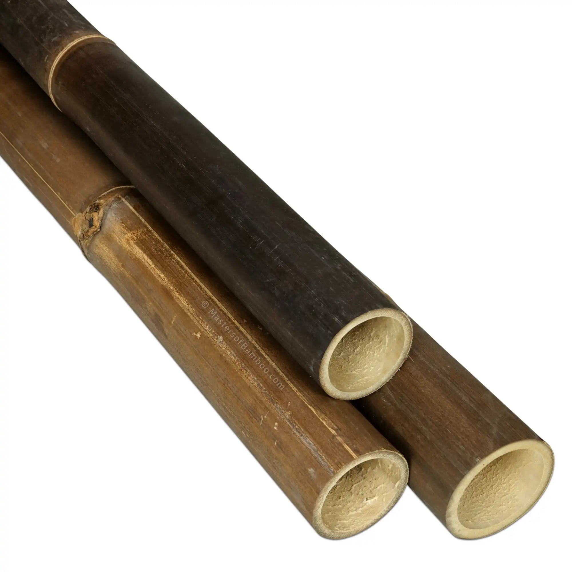 Java Black Bamboo Poles - Strong and Stylish – Masters of Bamboo