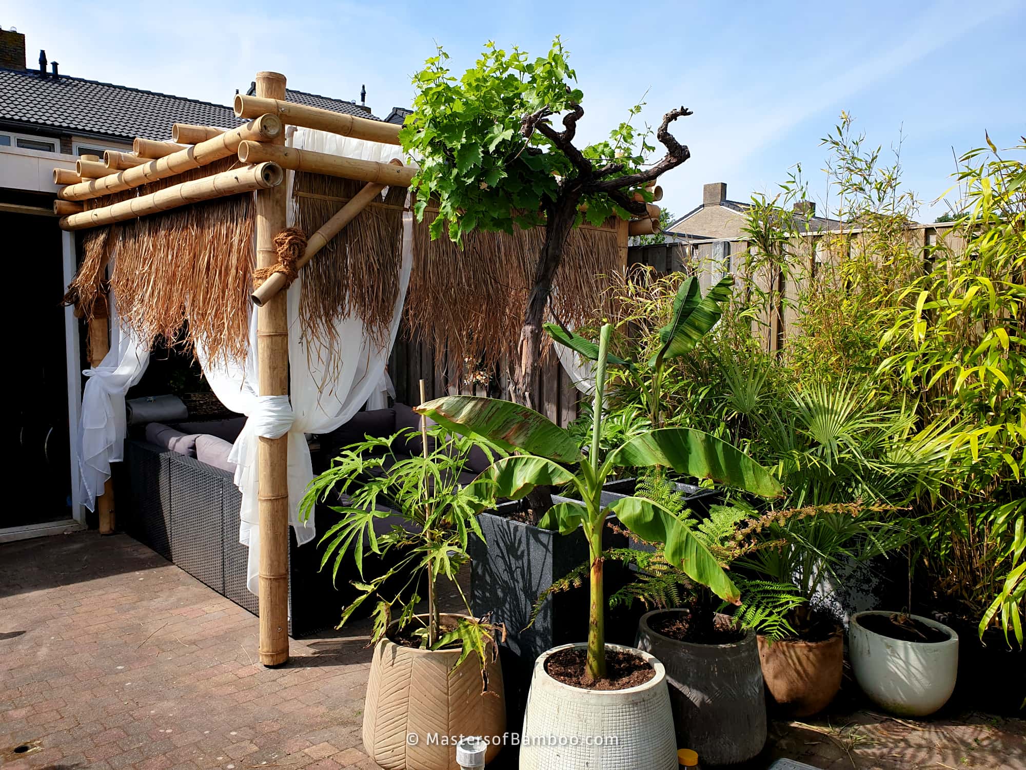 Bamboe Pergola Bogota - Duurzaam & Stijlvol Buitenleven – Masters of Bamboo